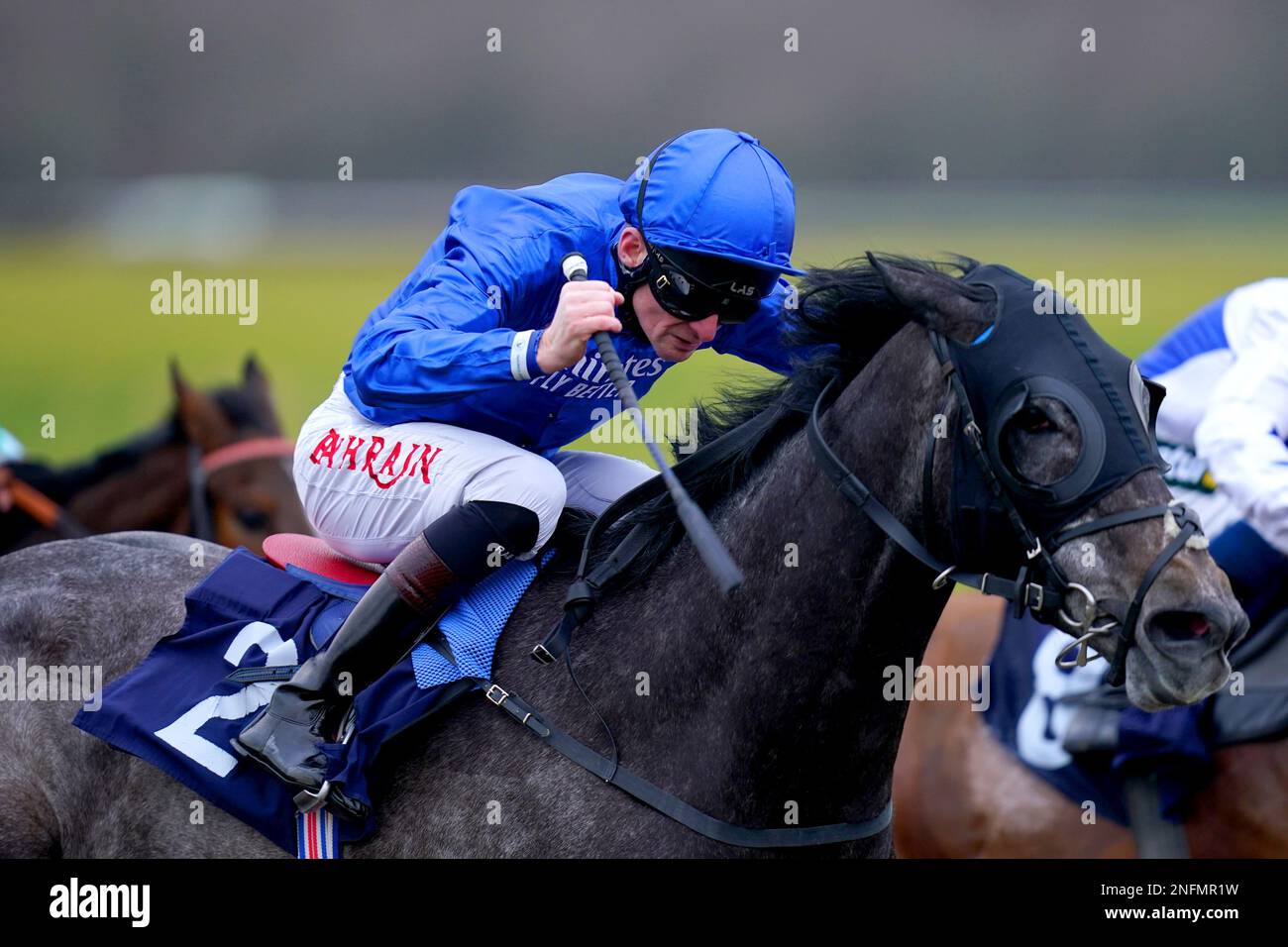 Unforgotten horse hi-res stock photography and images - Alamy
