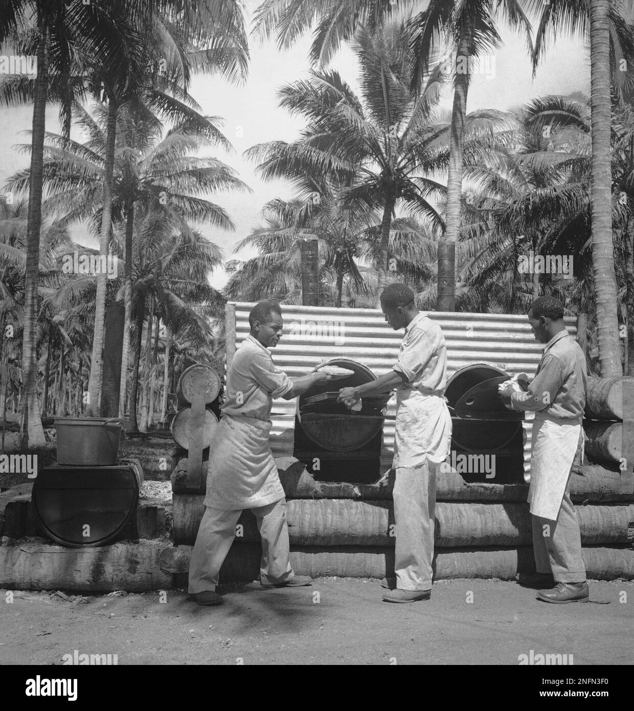 Empty oil drums and some corrugated iron make a double oven for U.S ...