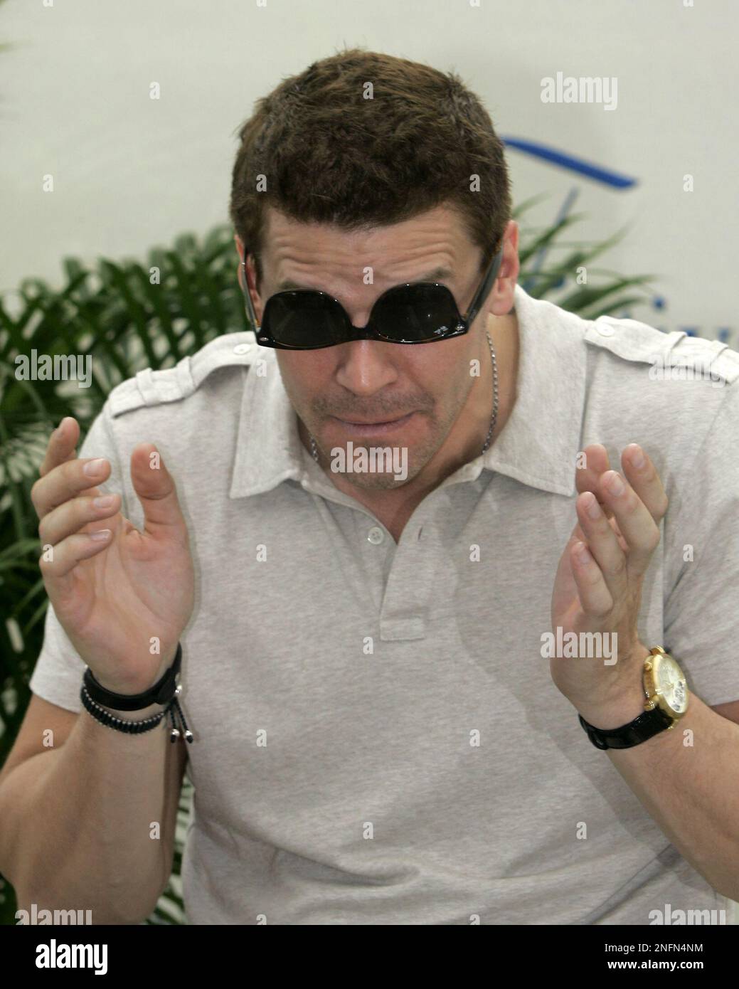 US actor David Boreanaz poses during the 48th Monte Carlo television ...