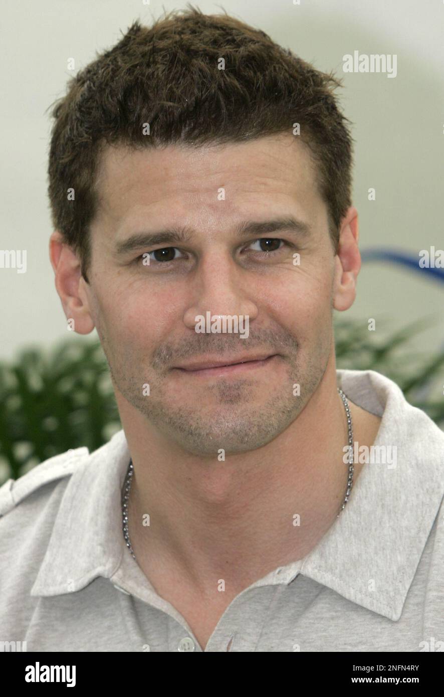 US actor David Boreanaz poses during the 48th Monte Carlo television ...