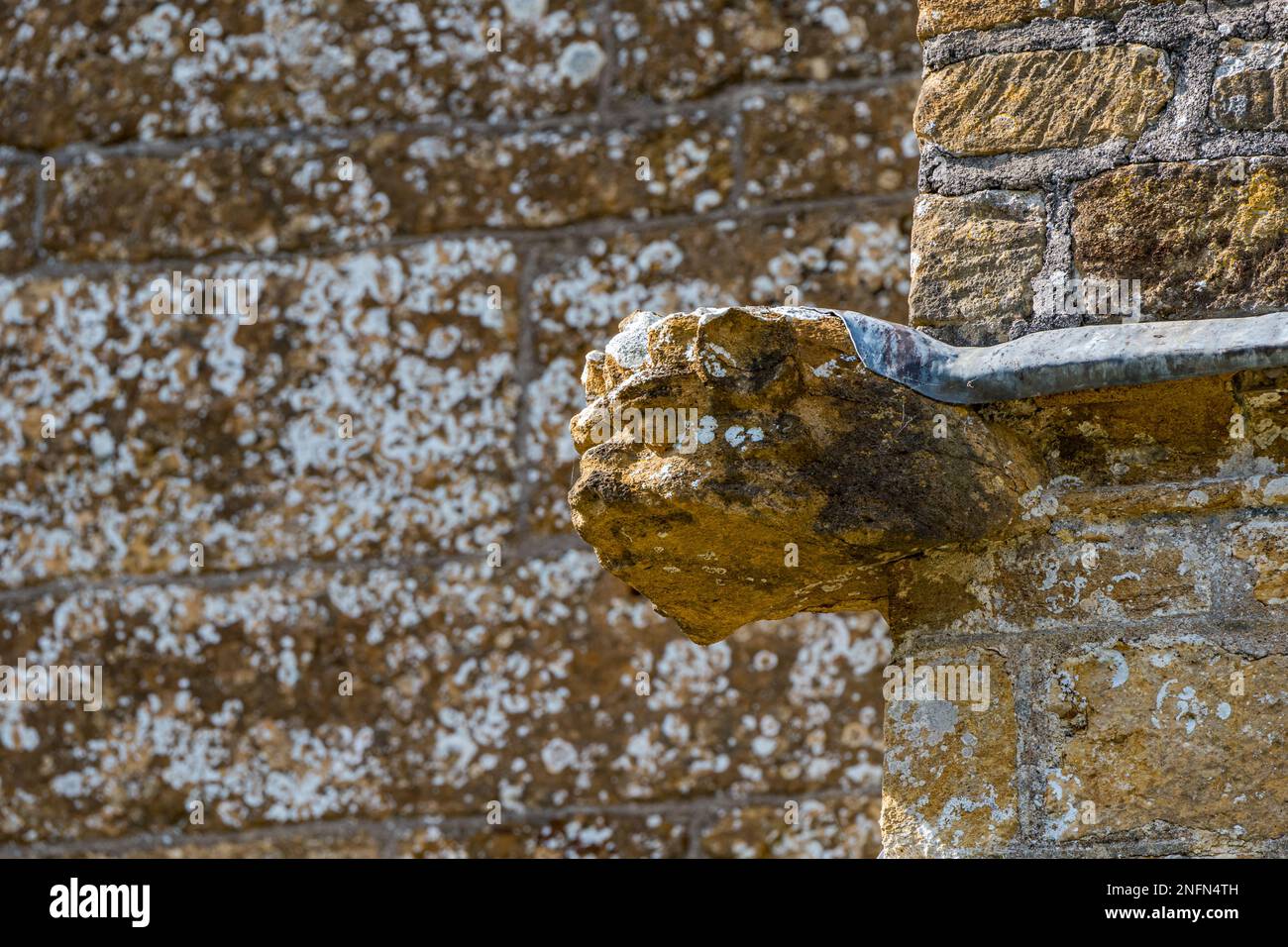 Close up of worn stone carved gargoyle with lead flashing, St Candida ...