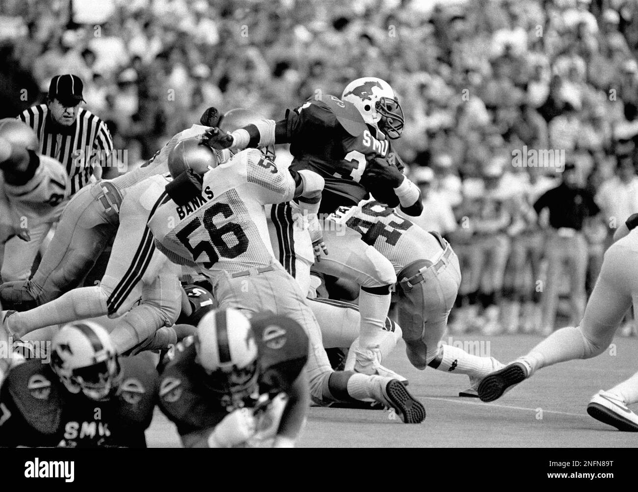 Robert Banks Football