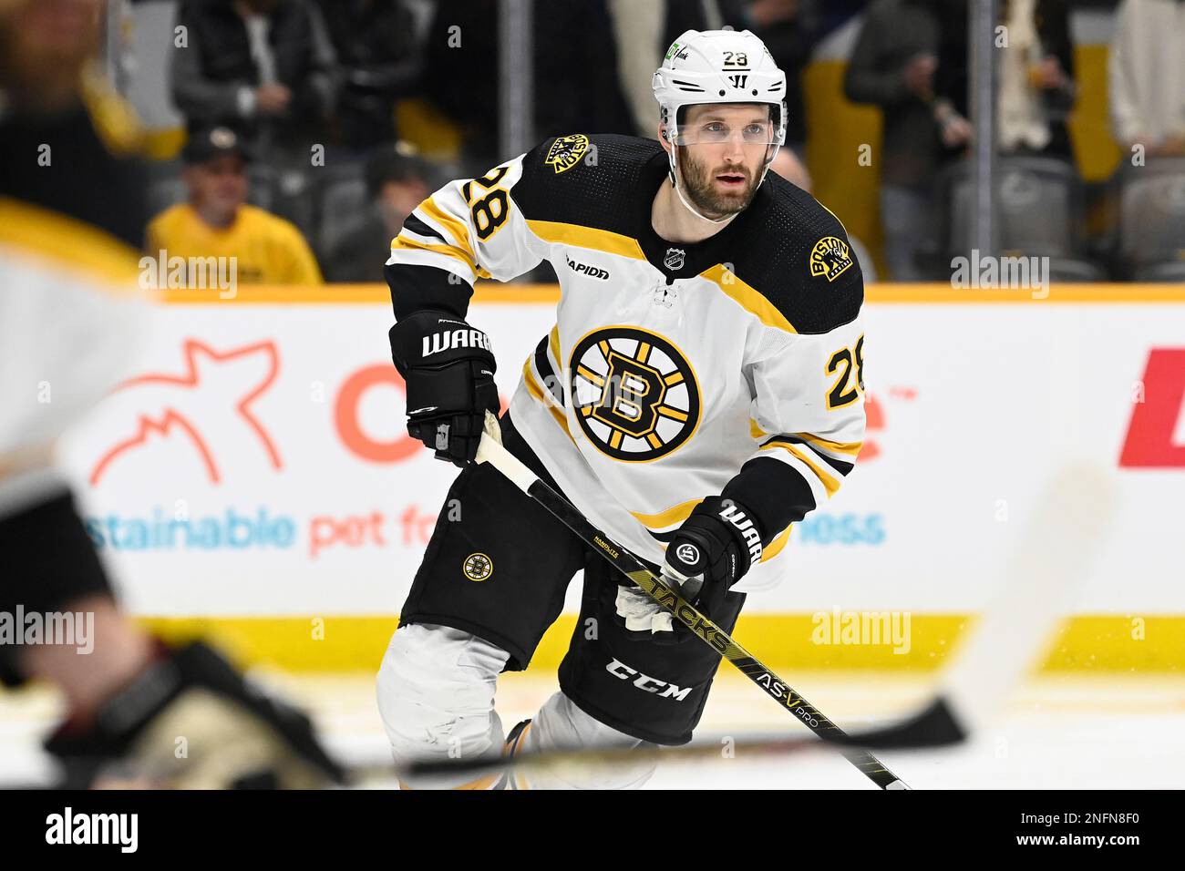 Boston Bruins defenseman Derek Forbort (28) plays against the Nashville ...