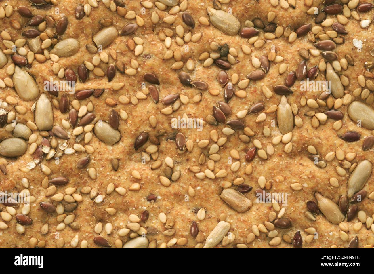 organic crispbread with sesame seeds, linseeds and sunflower seeds ...