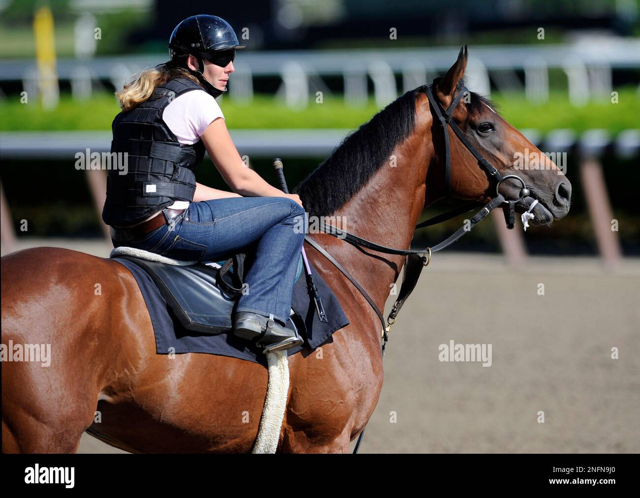 Kentucky Derby and Preakness winner Big Brown with exercise rider ...