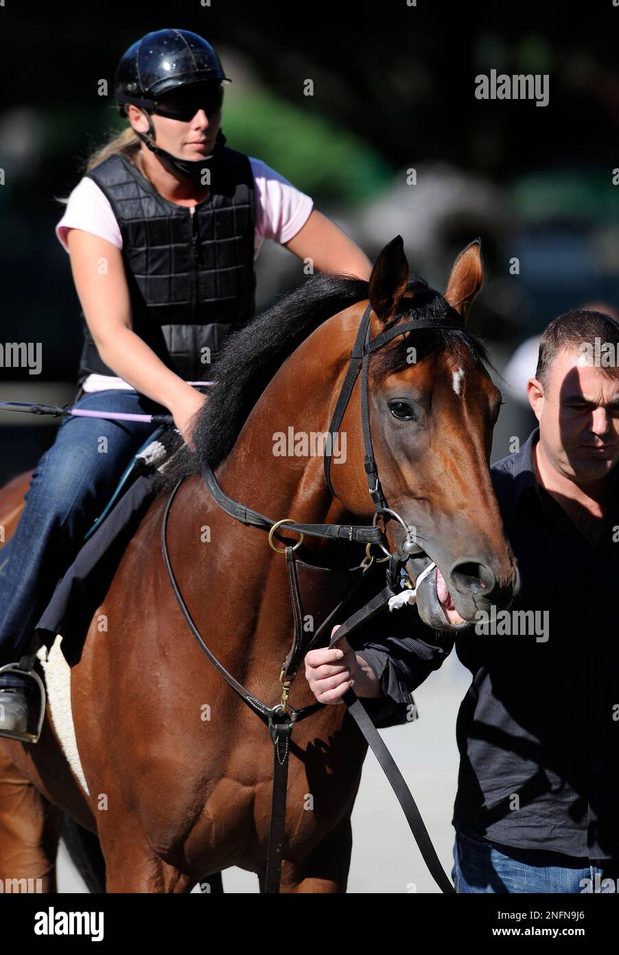 Kentucky Derby and Preakness winner Big Brown with exercise rider ...