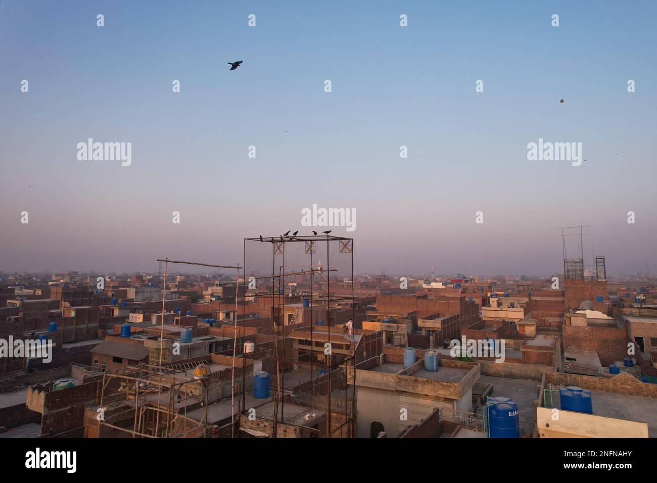 Gujranwala forest hi-res stock photography and images - Alamy
