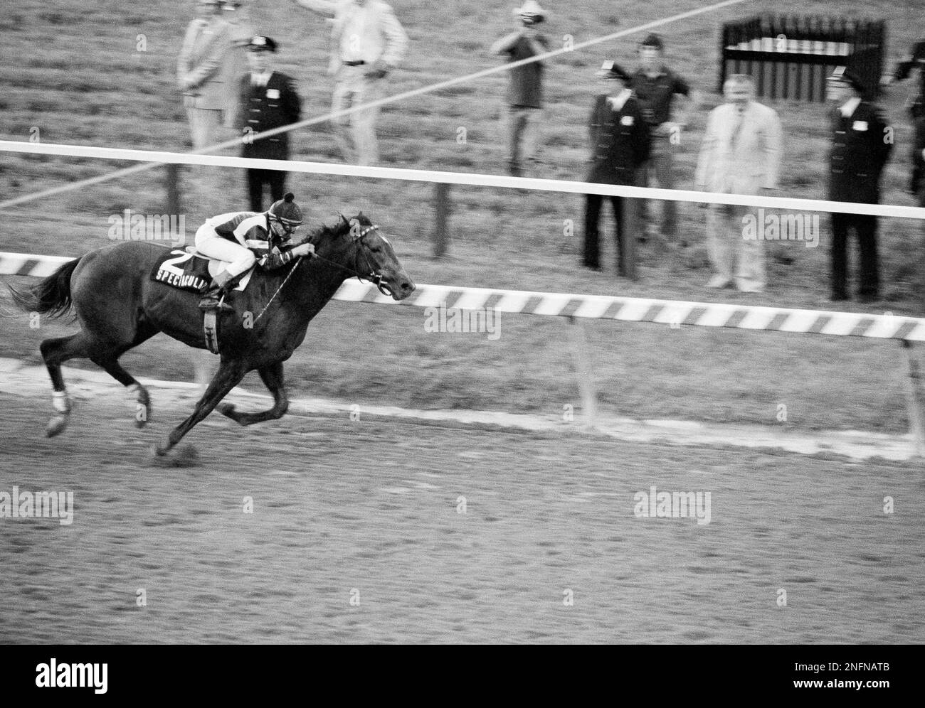 Spectacular Bid crosses the finish line with Ronnie franklin in the ...