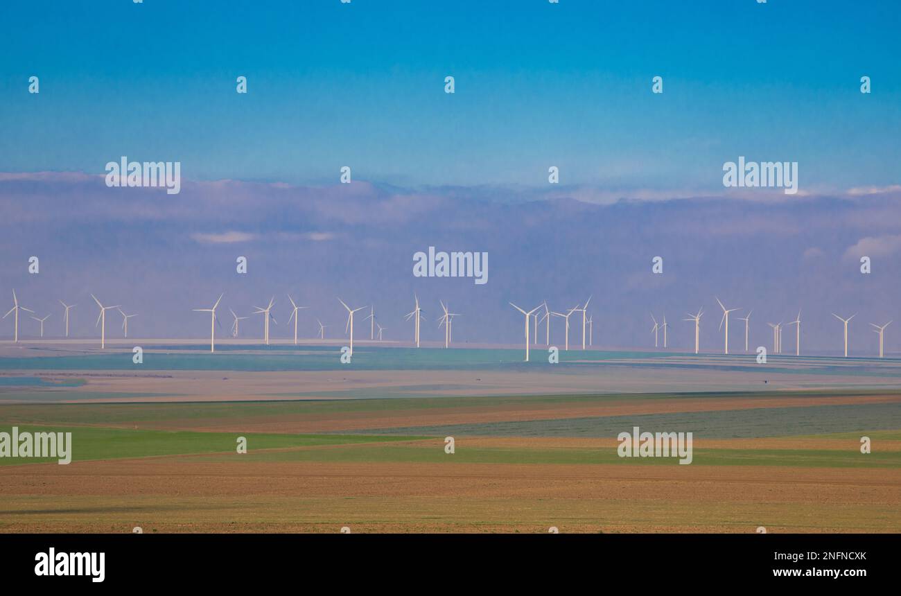 A field with many wind turbines in Constanta county - Romania - Green ...