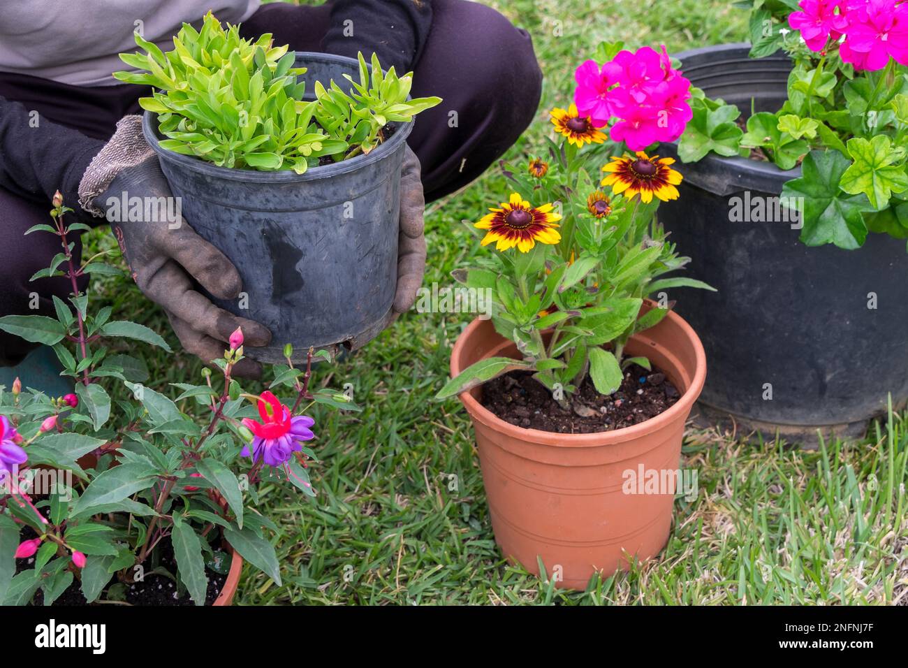 Hands in garden gloves hi-res stock photography and images - Alamy