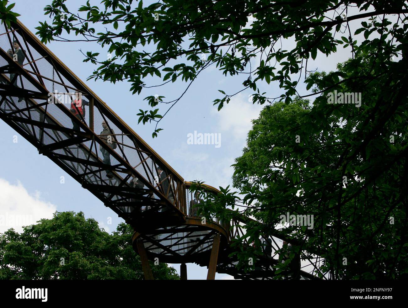 Visitors are seen on the new 18m high Xstrata Treetop Walkway amongst ...