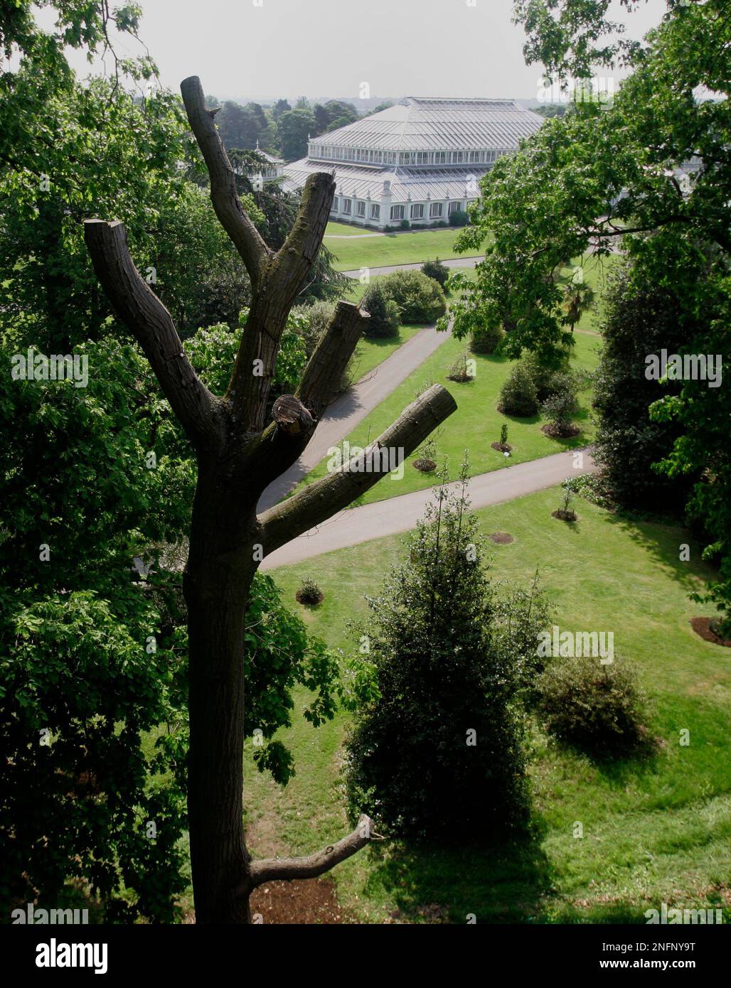 A view across Kew from the new 18m high Xstrata Treetop Walkway at The ...