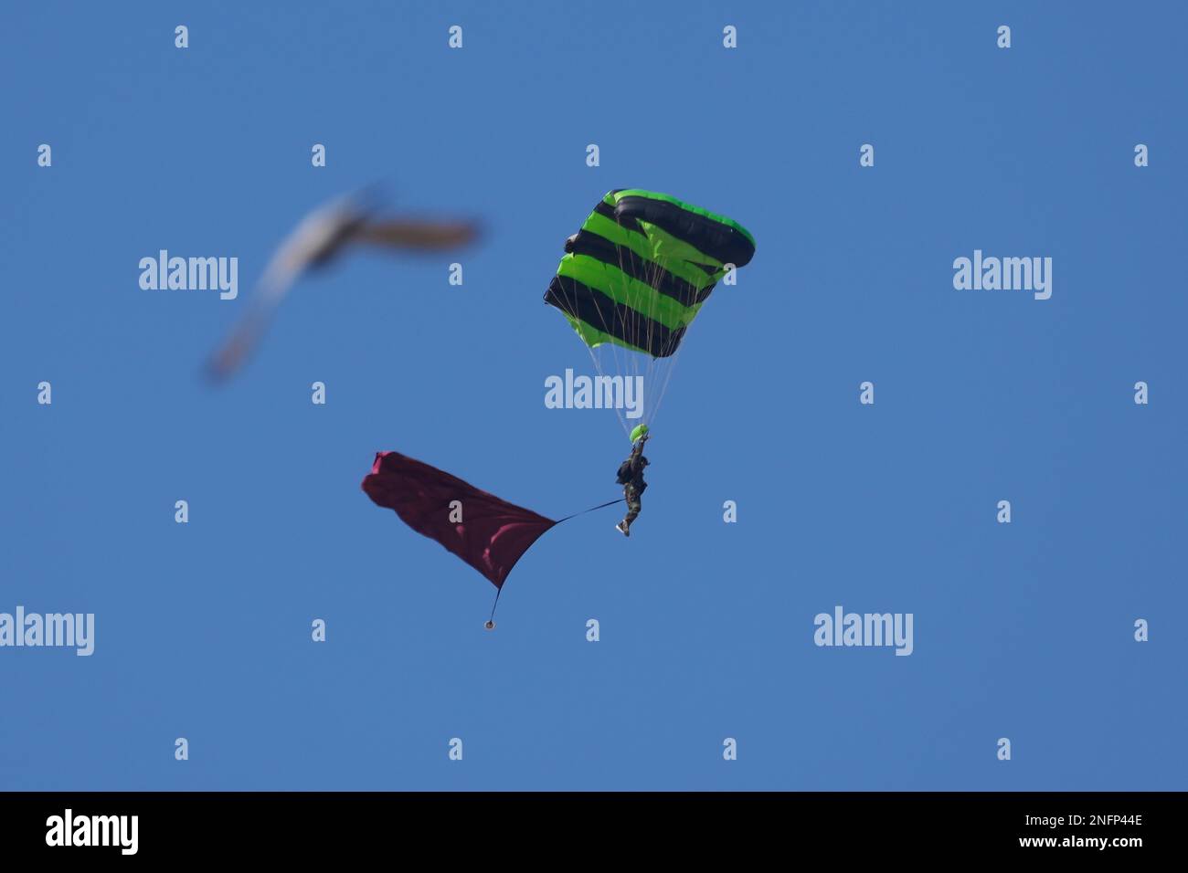 A member of Iraq's national skydiving team, prepares to land in front ...