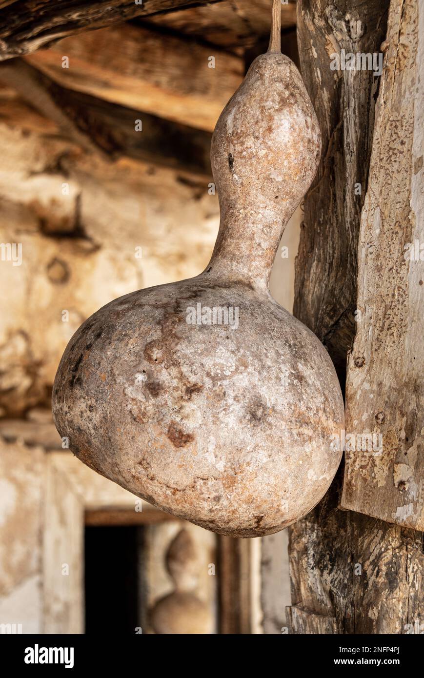 hanging dried gourd Stock Photo - Alamy