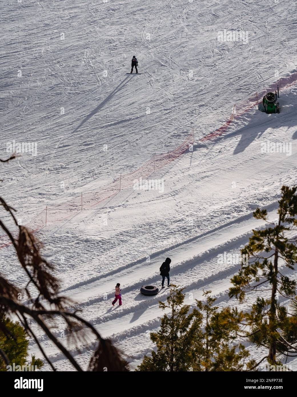 A vertical aerial shot of the snowy skiing area in Los Angeles National ...