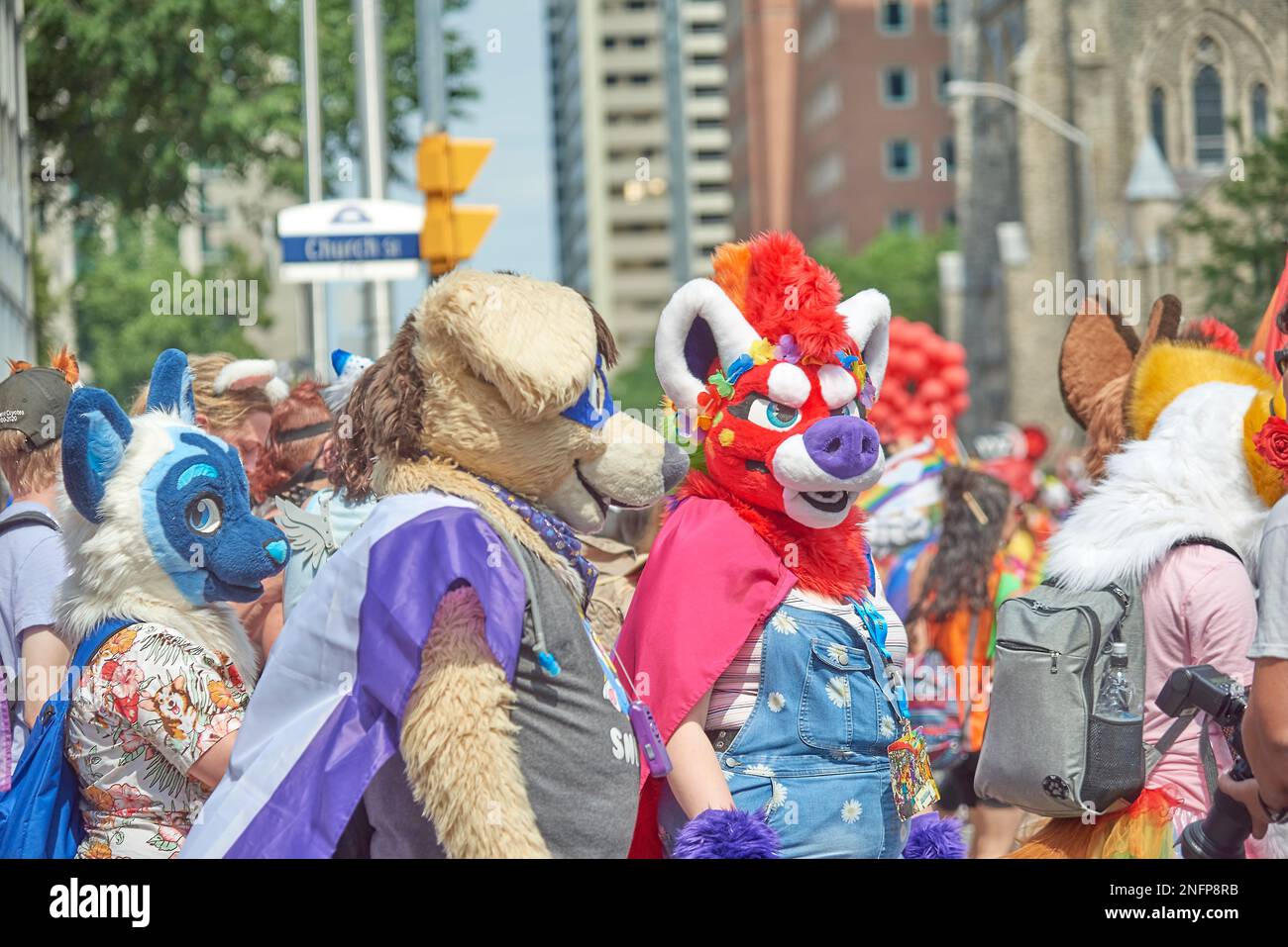 Toronto Ontario, Canada- June 26th, 2022: furies walking in Toronto’s ...