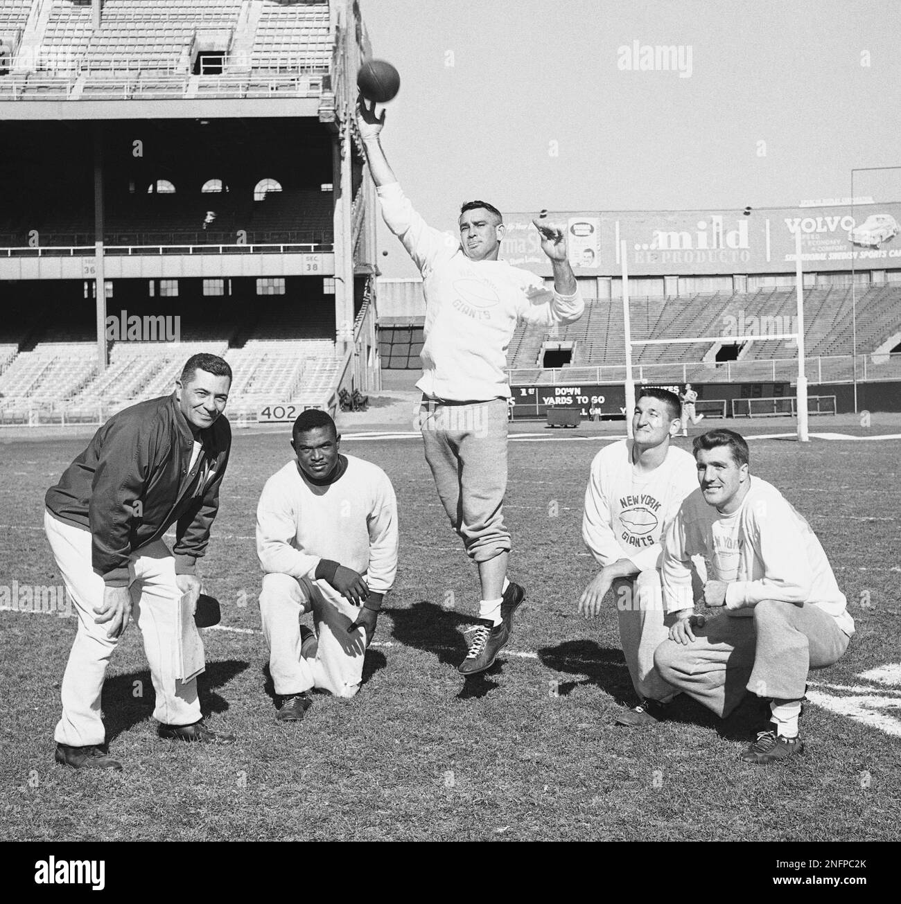 New York Giants quarterback Charley Conerly, veteran of two seasons ...