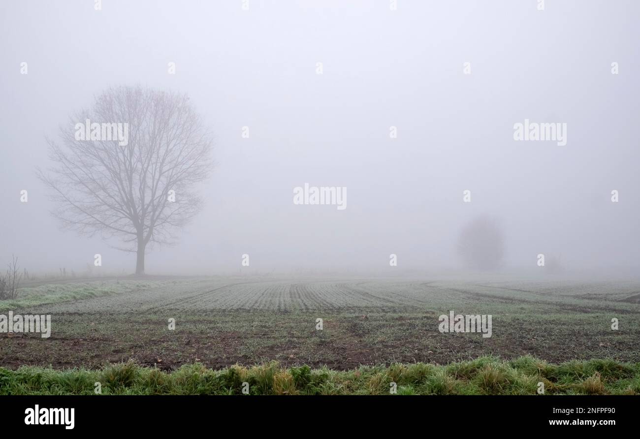 Novemberweather hi-res stock photography and images - Alamy