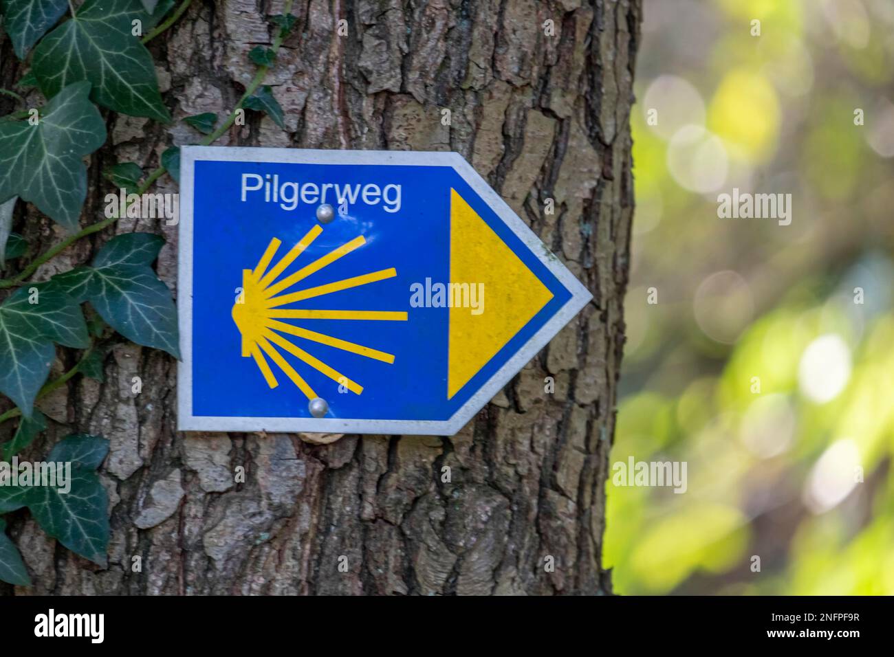 Scallop shell as a sign for the pilgrimage route, Way of St. James to ...