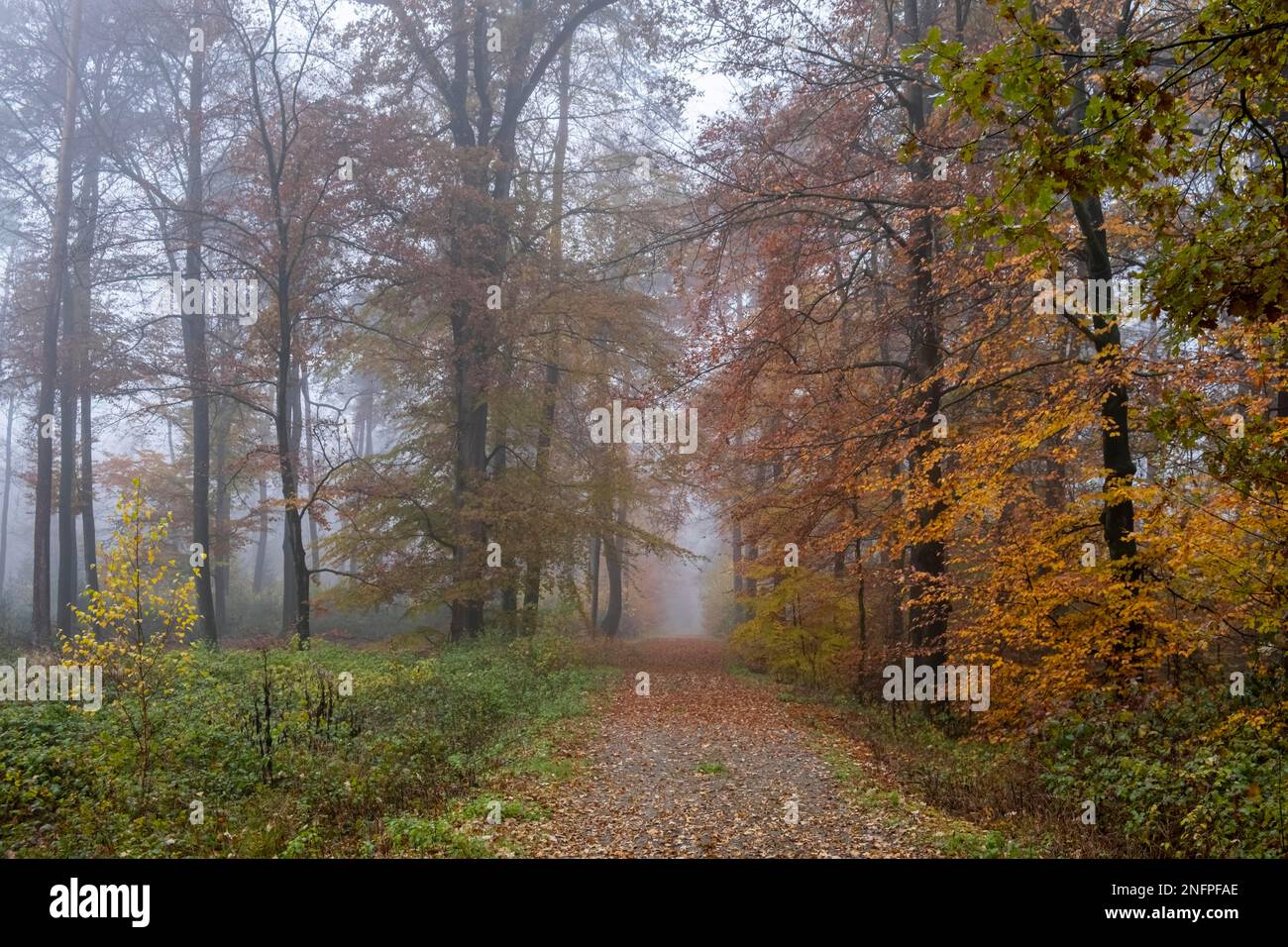 Typical autumn weather hi-res stock photography and images - Alamy