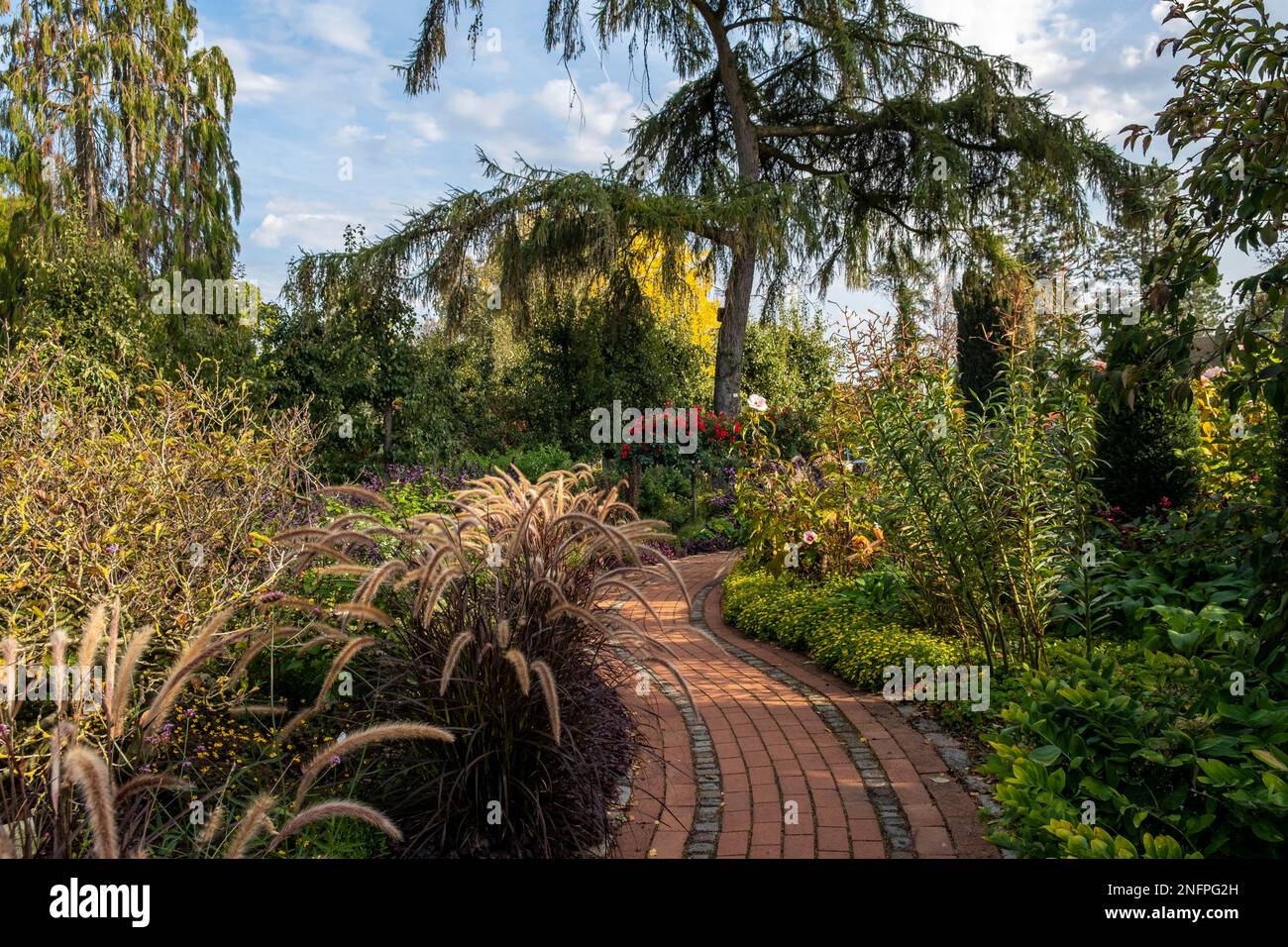 Garden path in autumn Stock Photo - Alamy