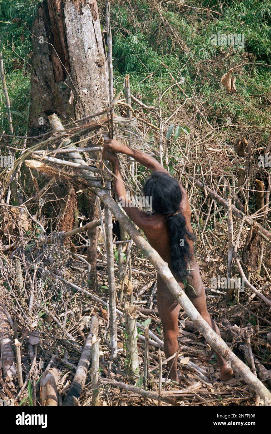 A member of the Tasaday Manubo people of the rainforest in the ...