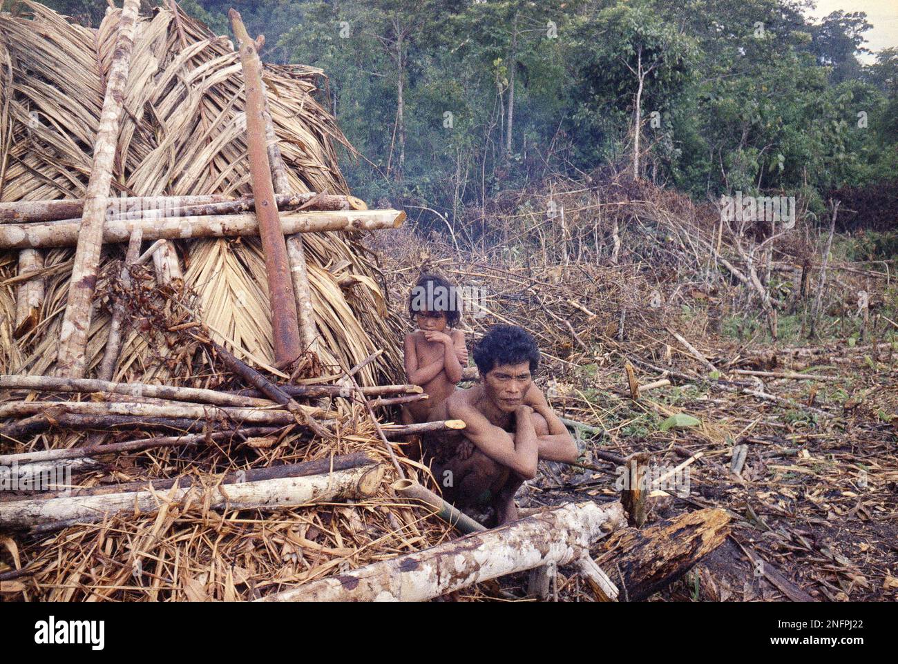 Members of the Tasaday Manubo people of the rainforest in the mountains ...