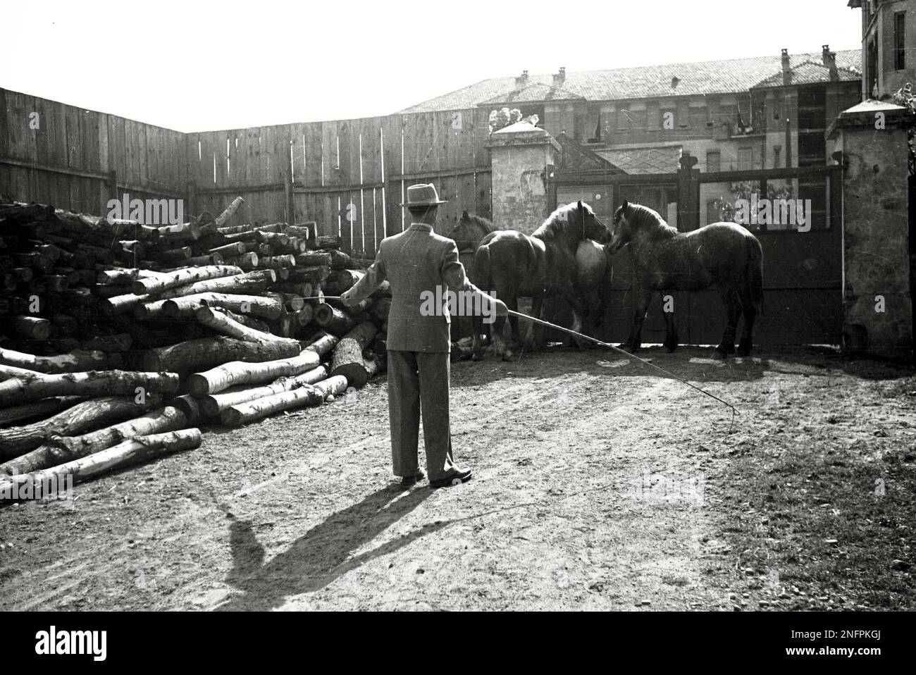 Agricoltura e Allevamento in Lombardia - Cavalli e addestramento (anni ...