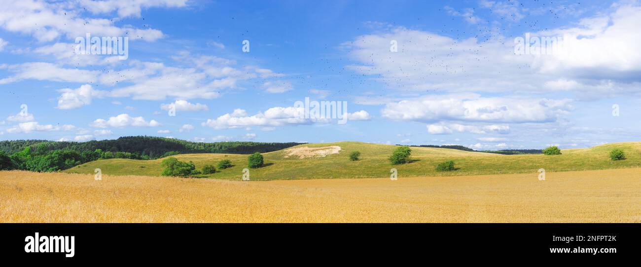 A rural landscape with a brown field and green hills in Osterlen, Skane ...