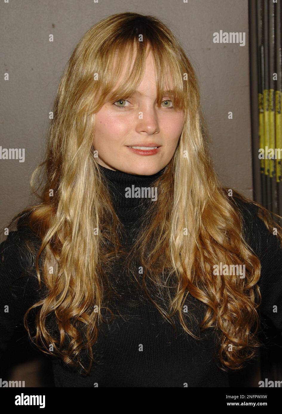 Actress Halley Wegryn Gross attends the premiere of "The Babysitters ...