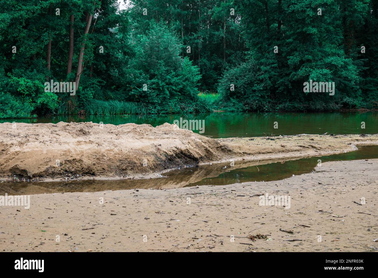 sand in a river in a forest. green forest landscape with a river Stock ...