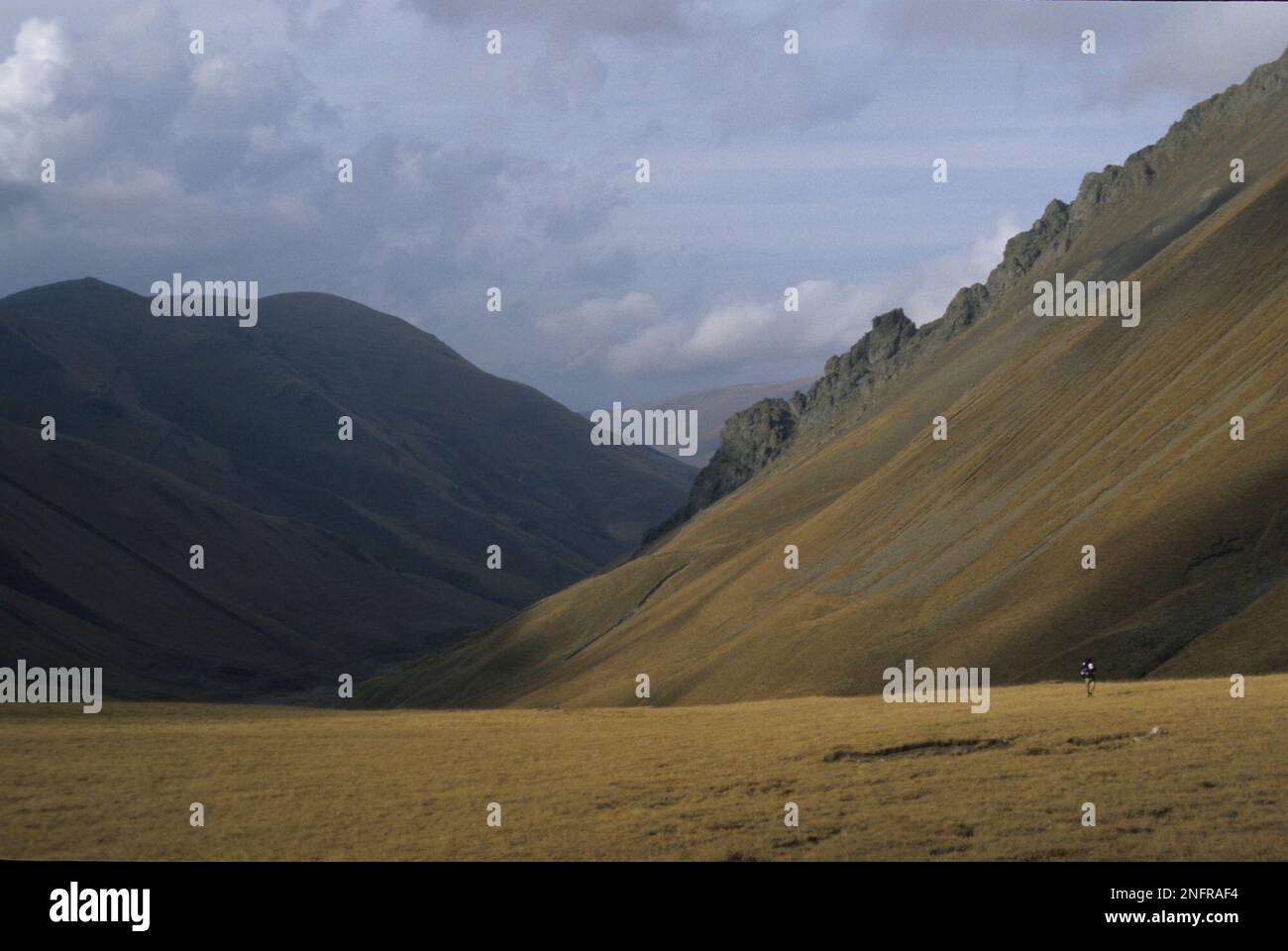 Author Mike Eckel hikes up a late autumn mountainside meadow climbing ...