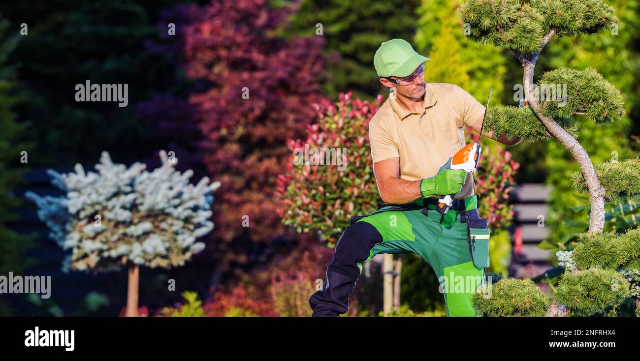 Hand held hedge trimmer hi-res stock photography and images - Alamy