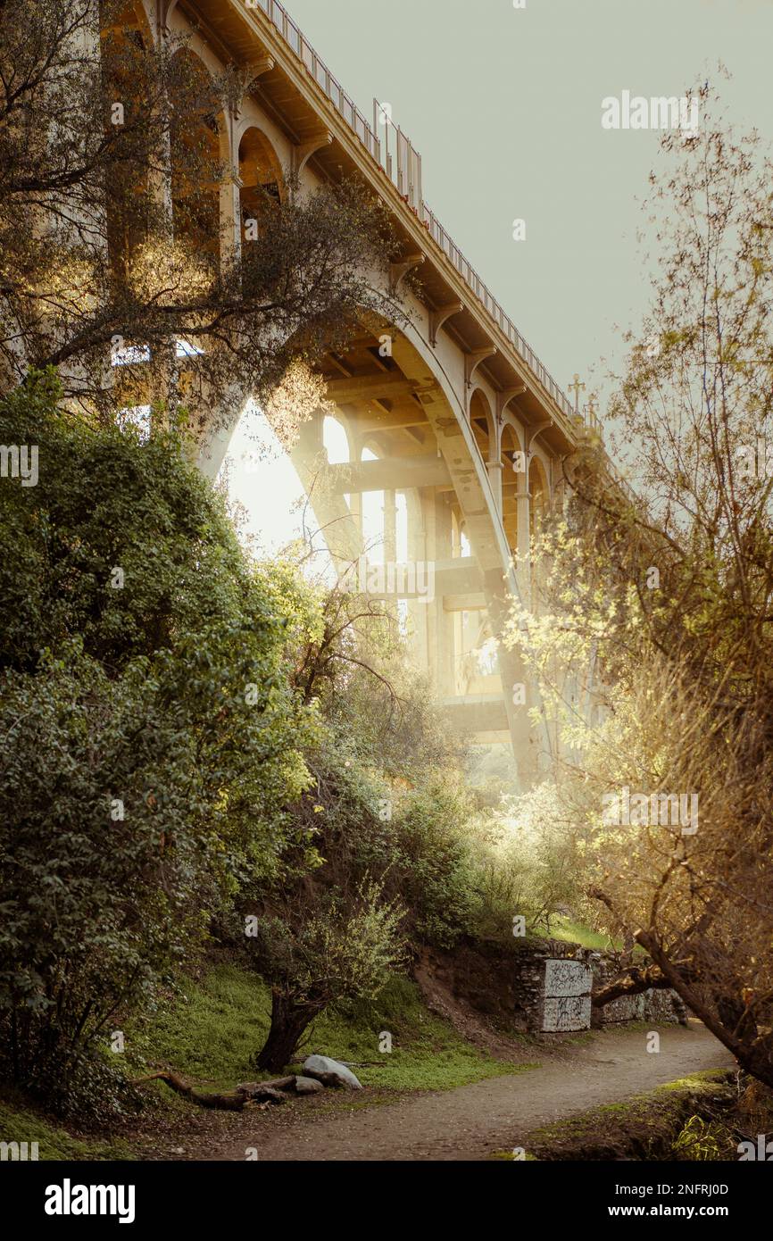 A vertical shot of a green path under the arch of an old railway bridge ...