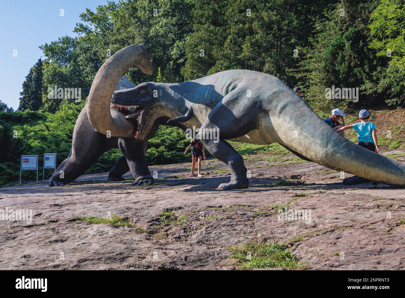 Statues of Tyrannosaurus and Nemegtosaurus in Dinosaur Valley in ...