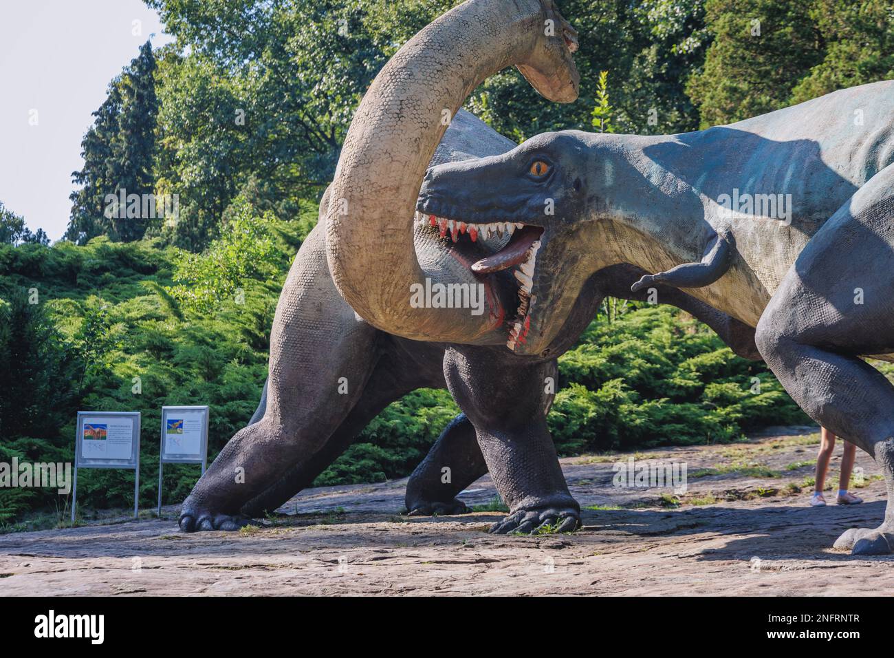 Statues of Tyrannosaurus and Nemegtosaurus in Dinosaur Valley in ...