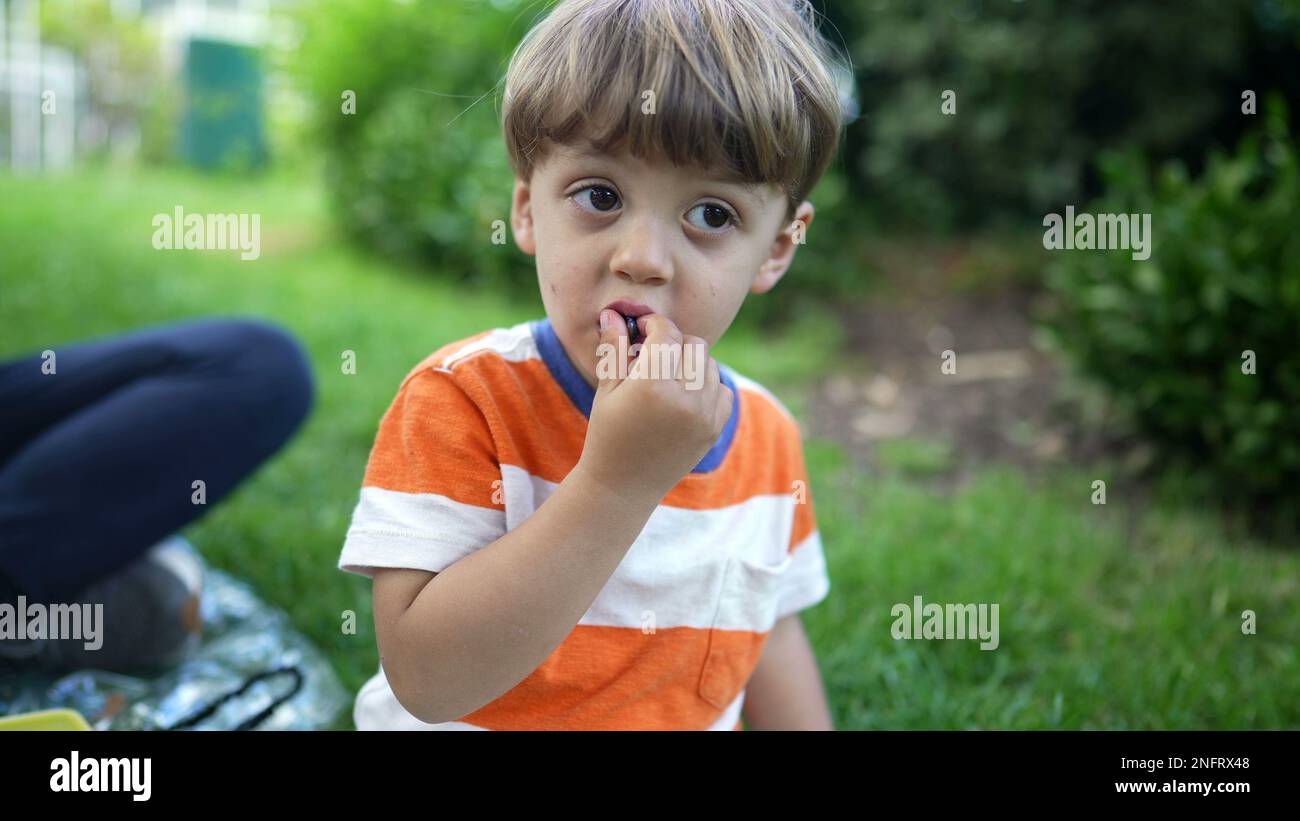 Portrait of little boy eating food during family weekend picnic ...