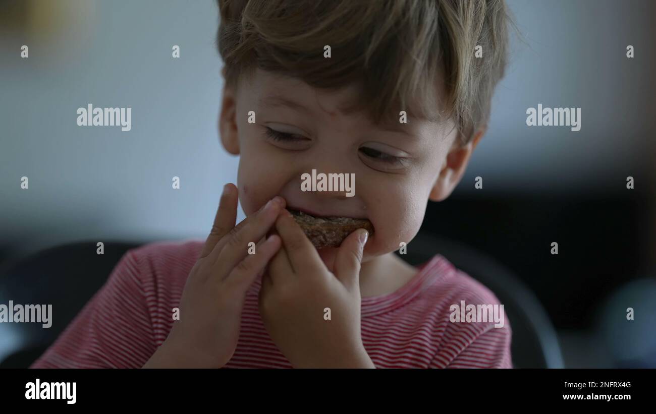Portrait of small boy eating slice of bread. Child eats nutritious carb ...