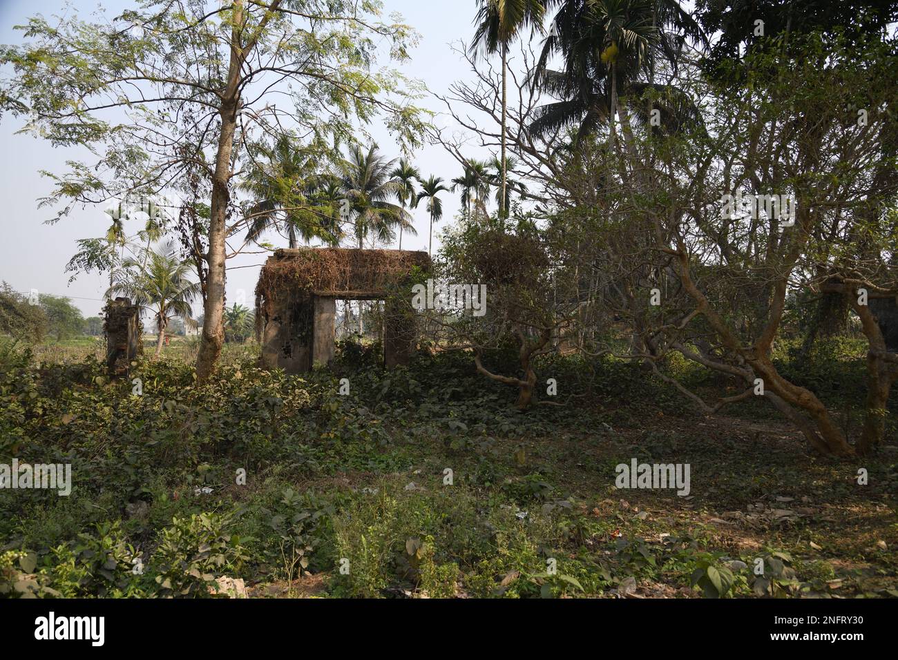 Dev biswas hi-res stock photography and images - Alamy