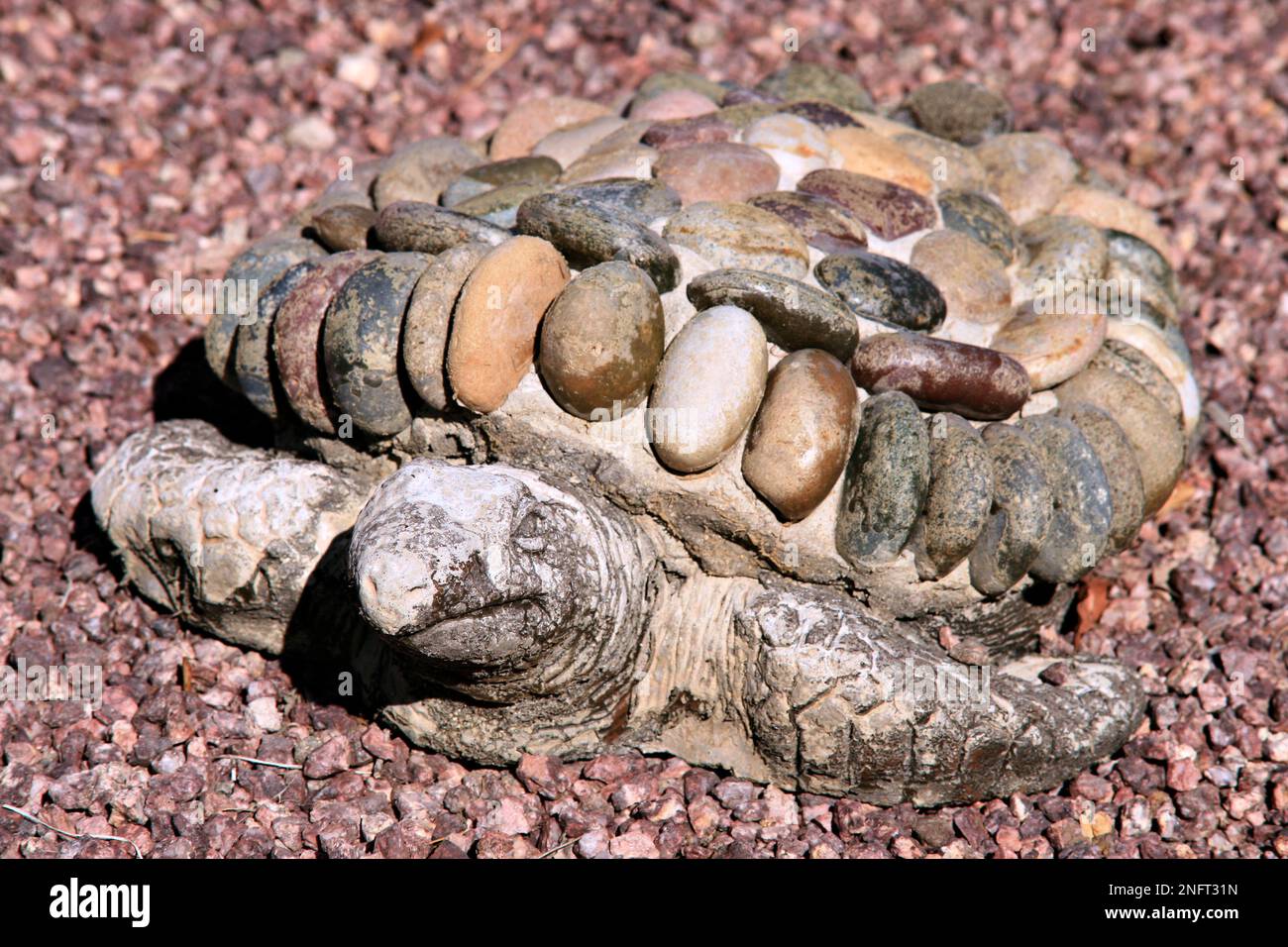 Concrete turtle hi-res stock photography and images - Alamy