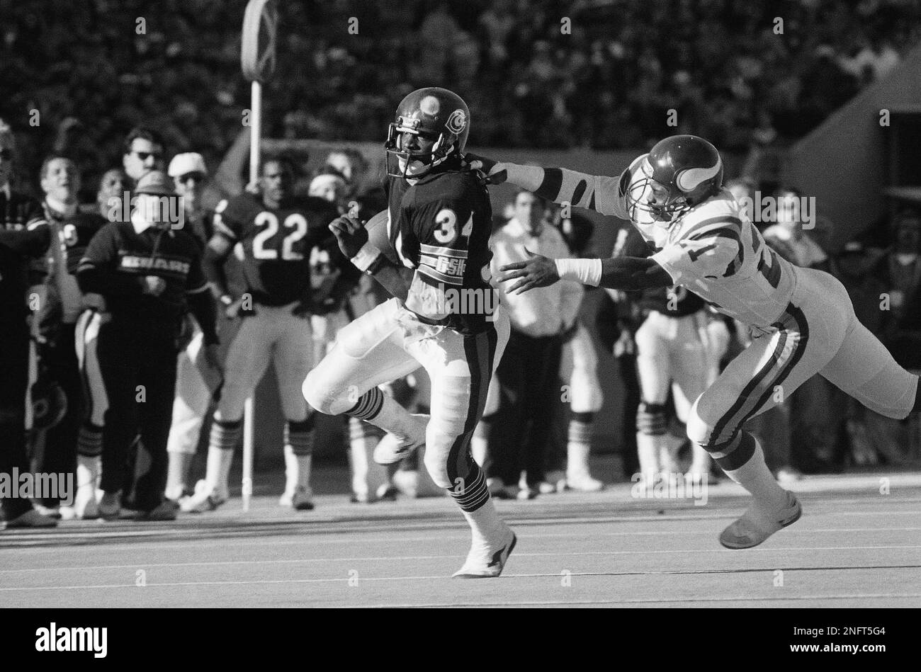 Chicago Bears' Running Back Walter Payton eludes Minnesota Vikings ...