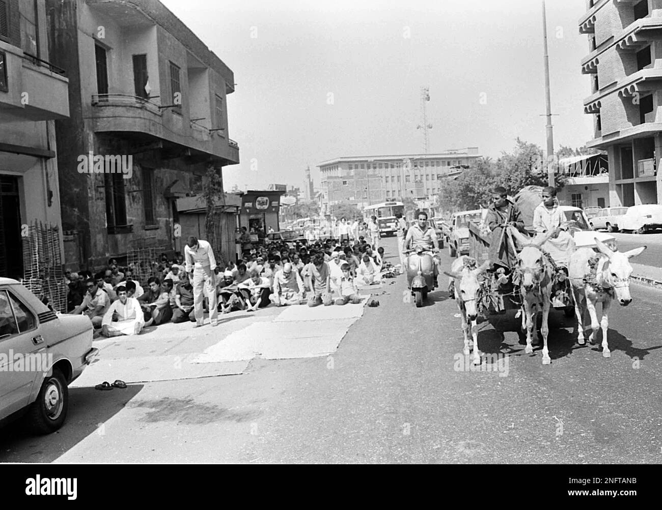 Prayer rugs are laid out for the overflow crowd from the mosques as ...