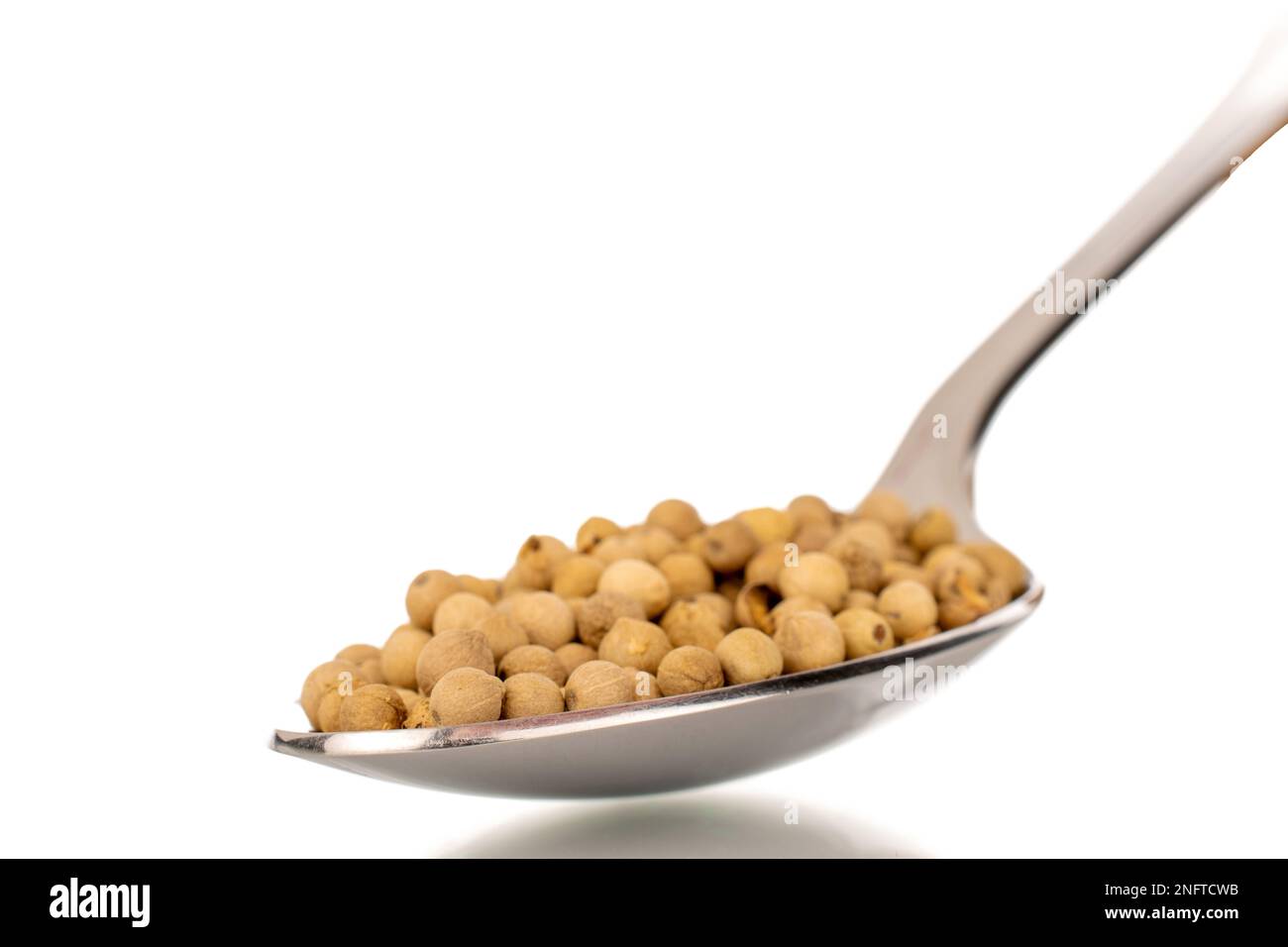 Fragrant vegetable coriander seeds in a metal spoon, macro, isolated on ...