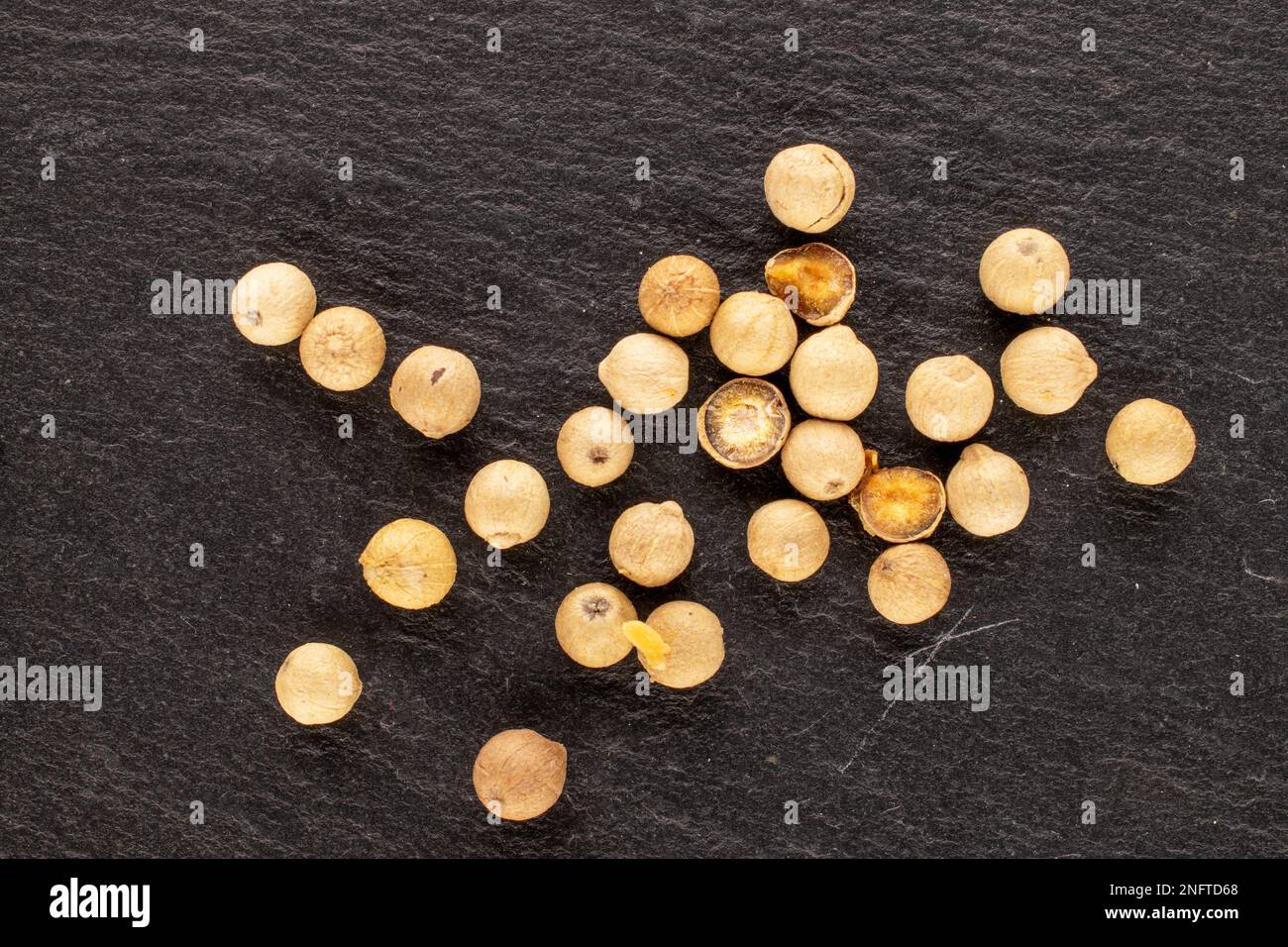 Fragrant vegetable coriander seeds on slate stone, macro Stock Photo ...