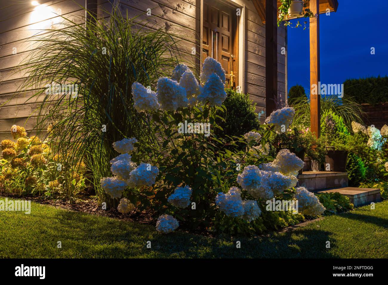 Night garden shrub lighting hi-res stock photography and images - Alamy