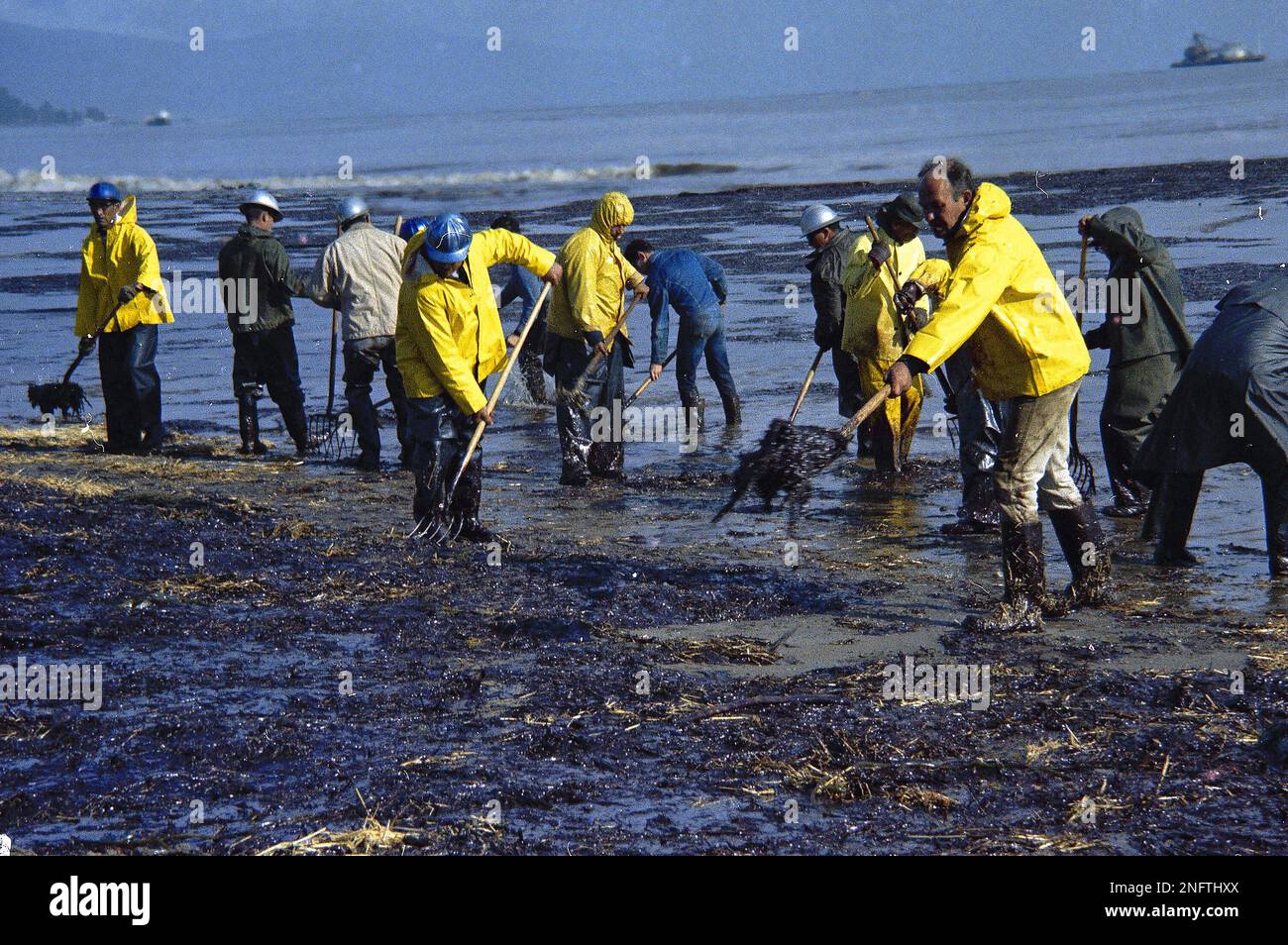 State forestry conservation crews made up of prison convicts clean up ...