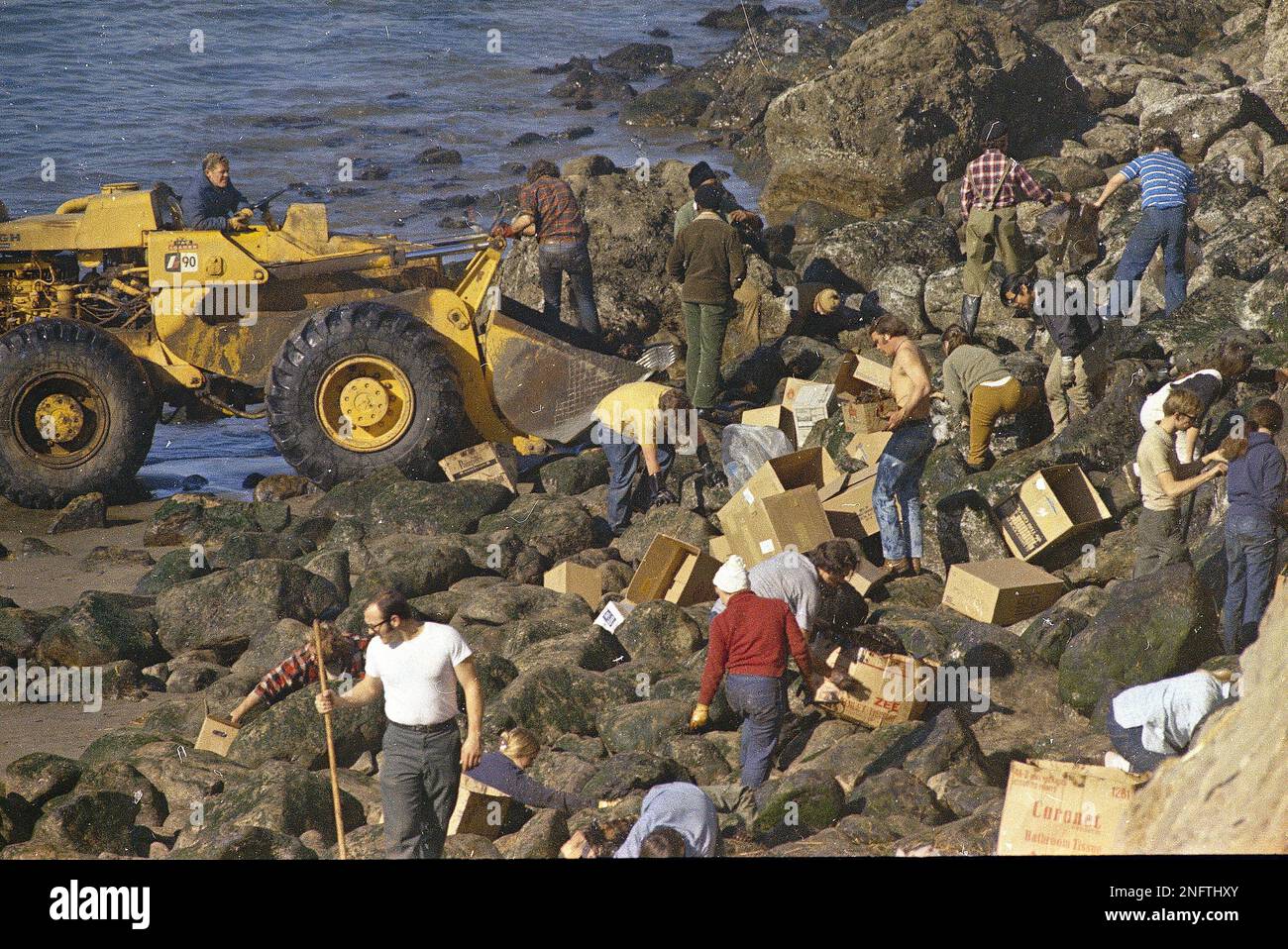 Workmen using pitchforks, rakes and shovels attempt to clean up oil ...