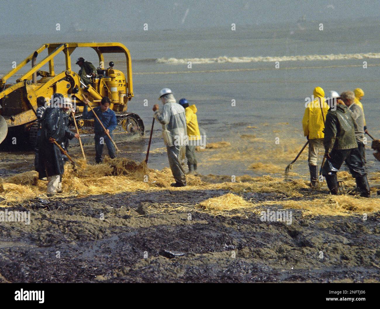 State forestry conservation crews made up of prison convicts clean up ...