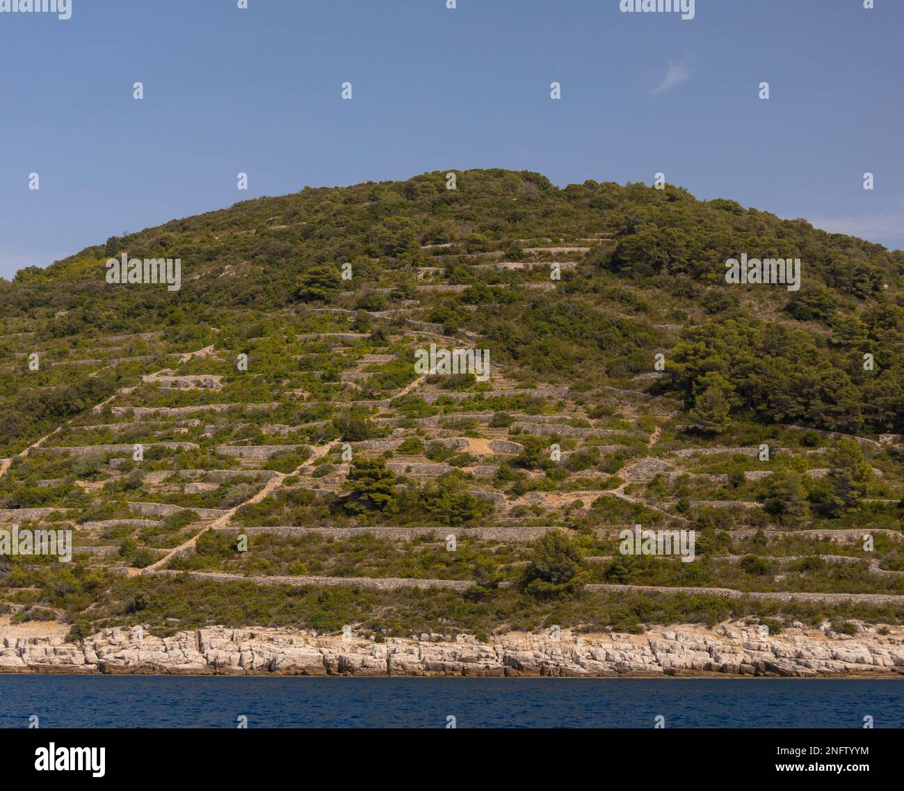 ISLAND OF VIS, CROATIA, EUROPE - Dry stone wall terracing on hiilside ...