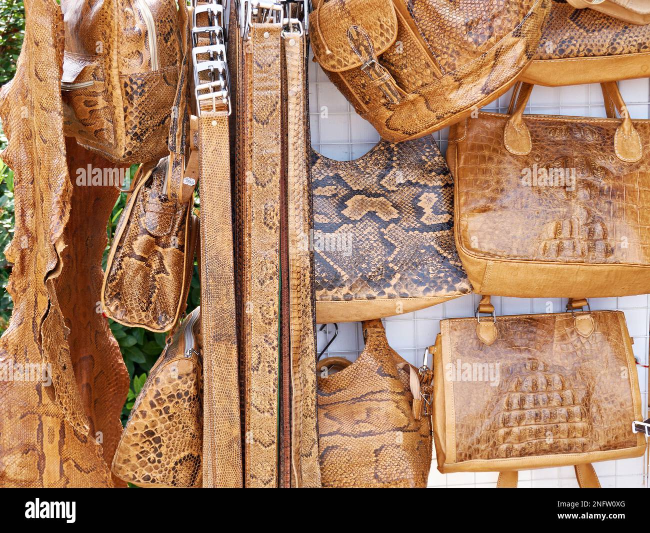 Products made of snake and crocodile skin on the market Stock Photo - Alamy